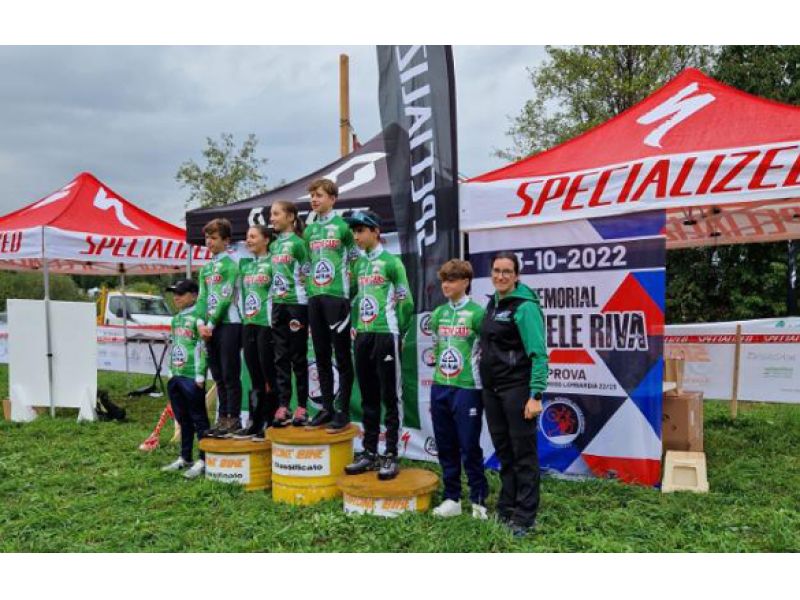 SYSTEM CARS ALKA. A SIRONE BRILLANO LE GIOVANI LEVE, LO JUNIOR ...