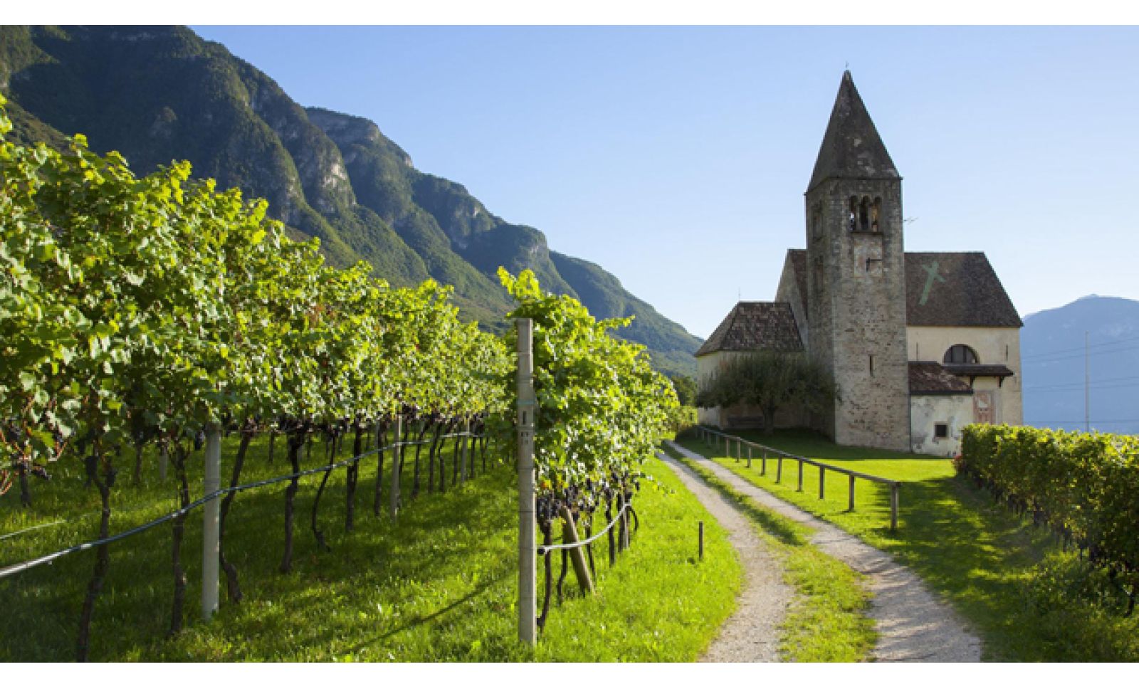 EGNA TIENE A BATTESIMO IL TOUR OF THE ALPS: IN ALTO ADIGE SI FA SUBITO ...