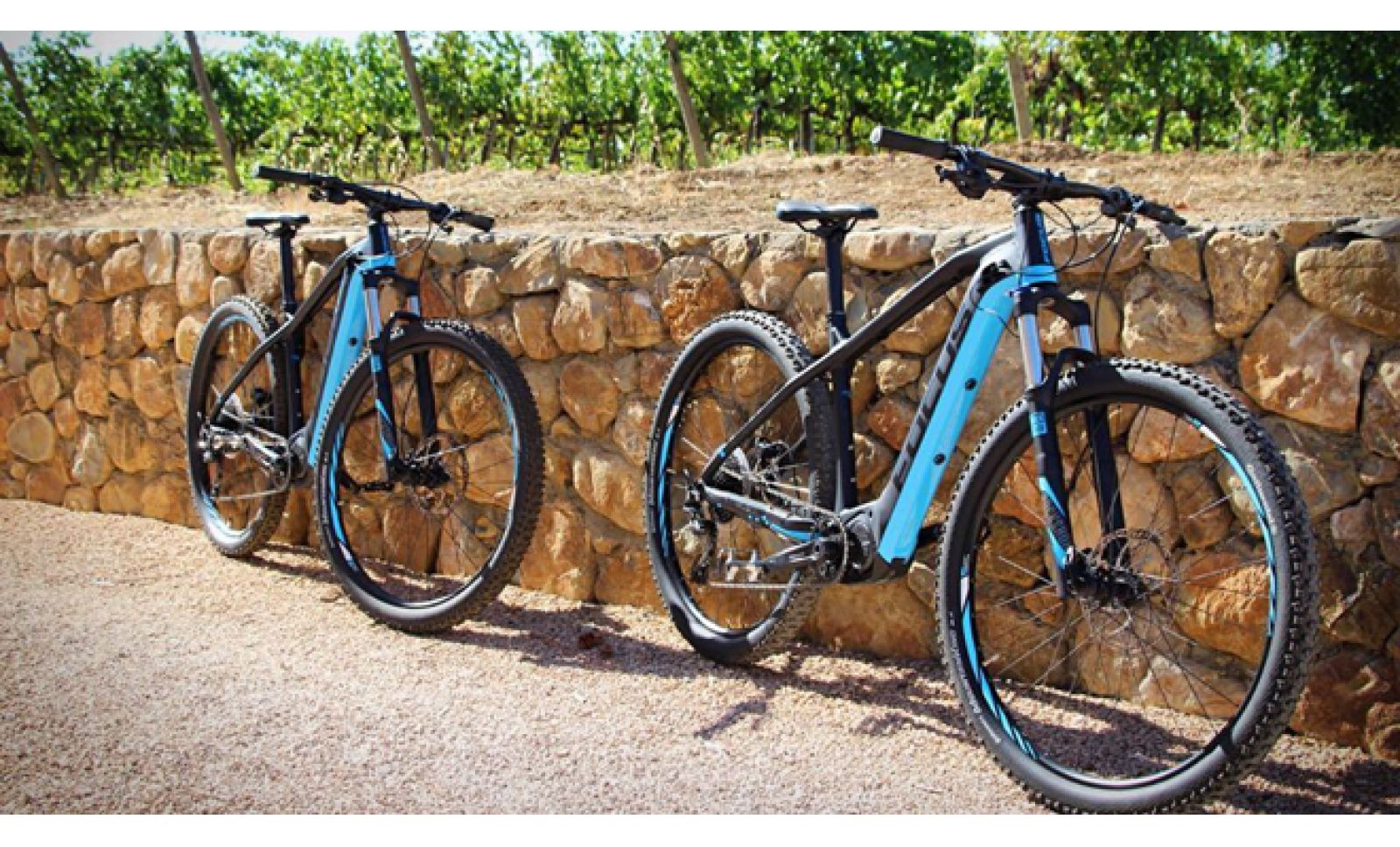 IL RADUNO. MAX LELLI E IL PARADISO DEL CICLOTURISMO NELLA MAREMMA ...