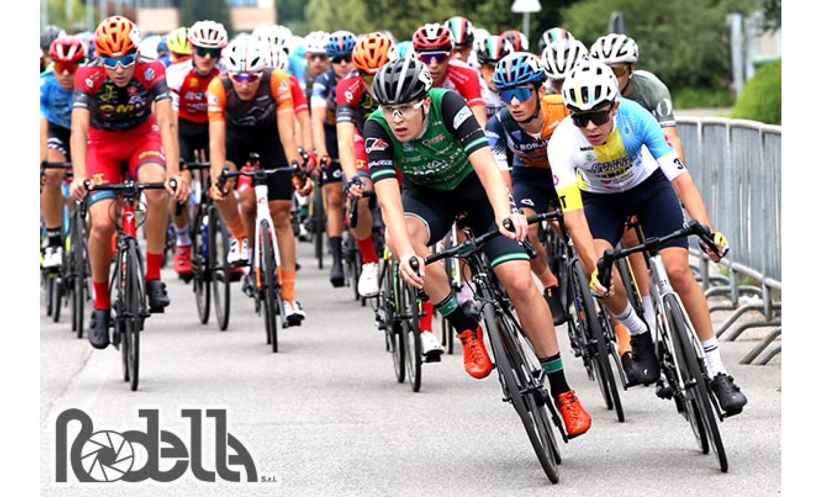 TREVIGLIO. STOCCATA DI MATTEO FIORIN: BATTUTI CAPRA E PORCELLI GALLERY